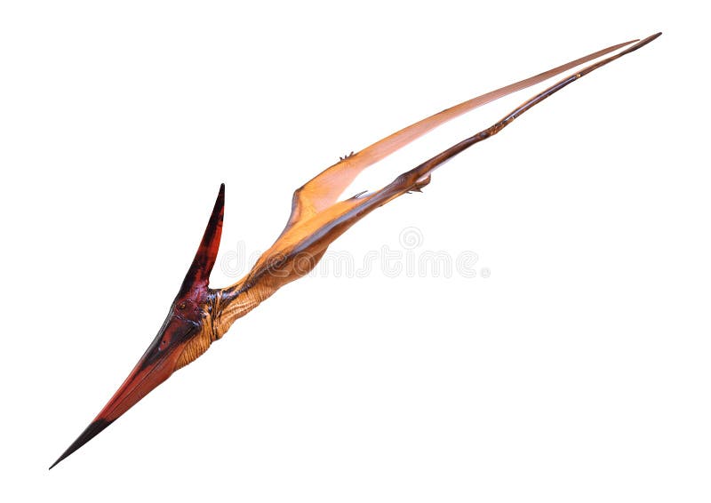 Rendering Pteranodon Stock Illustrations – 175 Rendering Pteranodon ...