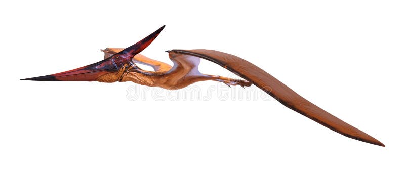 Rendering Pteranodon Stock Illustrations – 196 Rendering Pteranodon ...