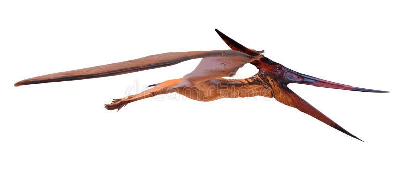 Rendering Pteranodon Stock Illustrations – 175 Rendering Pteranodon ...