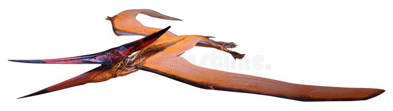 Rendering Pteranodon Stock Illustrations – 175 Rendering Pteranodon ...