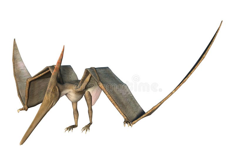 Rendering Pteranodon Stock Illustrations – 175 Rendering Pteranodon ...