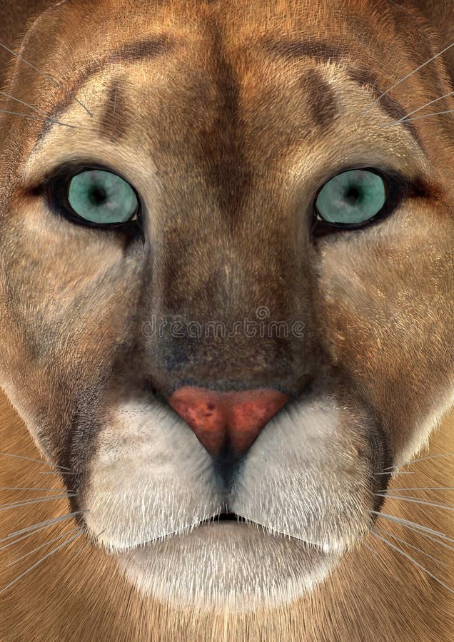 3D Rendering Puma stock illustration. Illustration of wildlife - 79471550