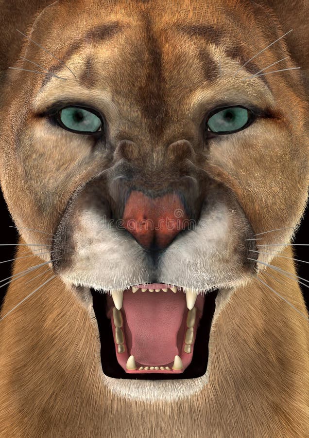 3D Rendering Puma stock illustration. Illustration of dangerous - 80319360