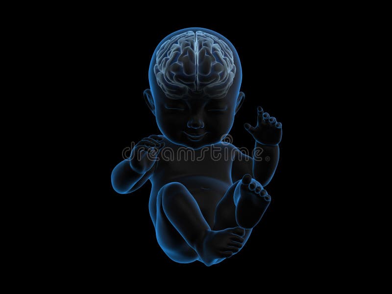 X-ray Image of Baby with a Brain Inside. Stock Illustration ...
