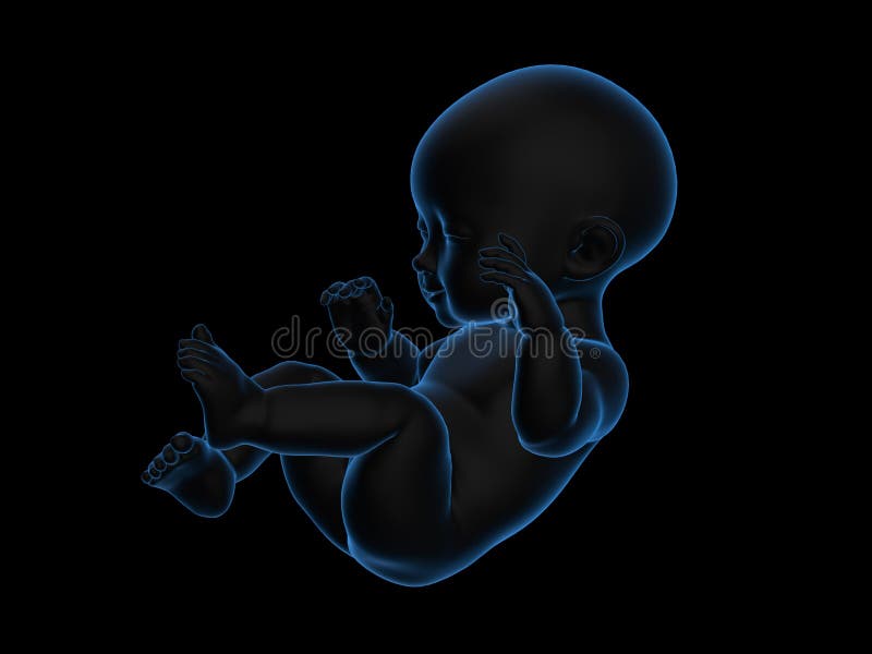 X-ray Image of Baby with a Brain Inside. Stock Illustration ...