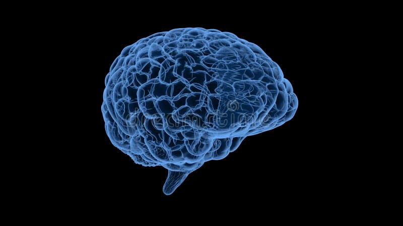 Human Brain on Green Screen Stock Footage - Video of brain, cerebral ...