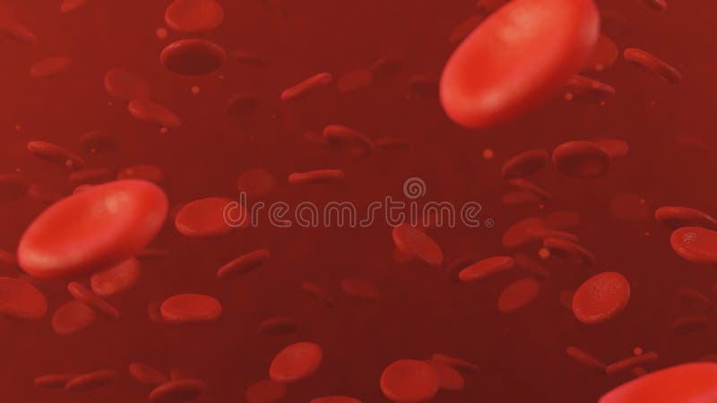 3D Rendering of Red Blood Cells in the Blood Flow Stock Illustration ...