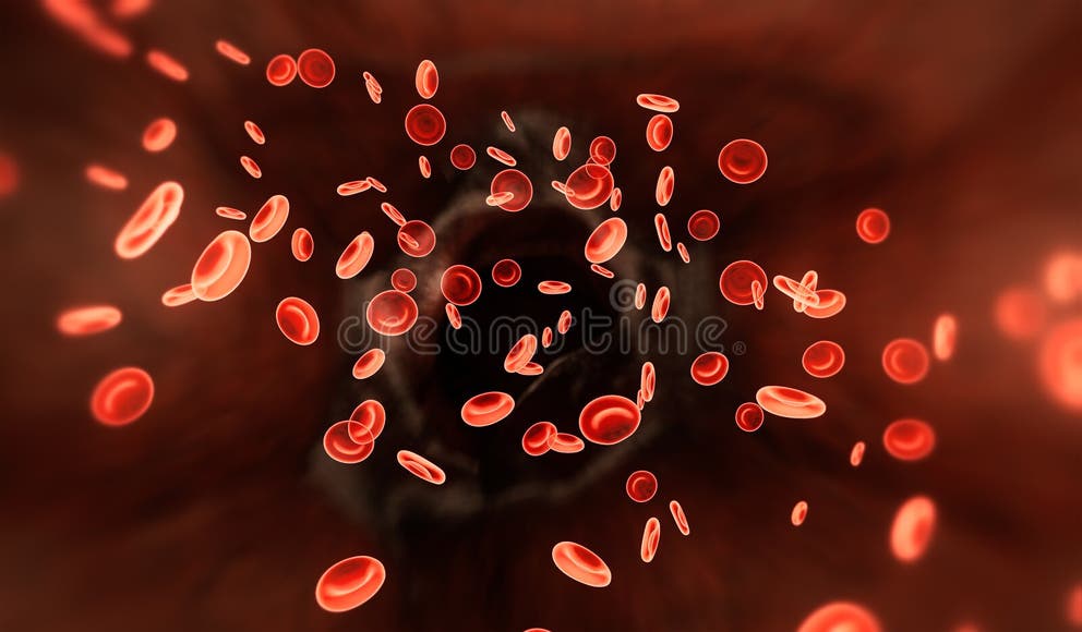 Red Blood Cells Flow in Vein Stock Illustration - Illustration of ...
