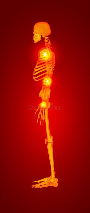 3D Rendering Illustration of Skeleton Bone Stock Illustration ...