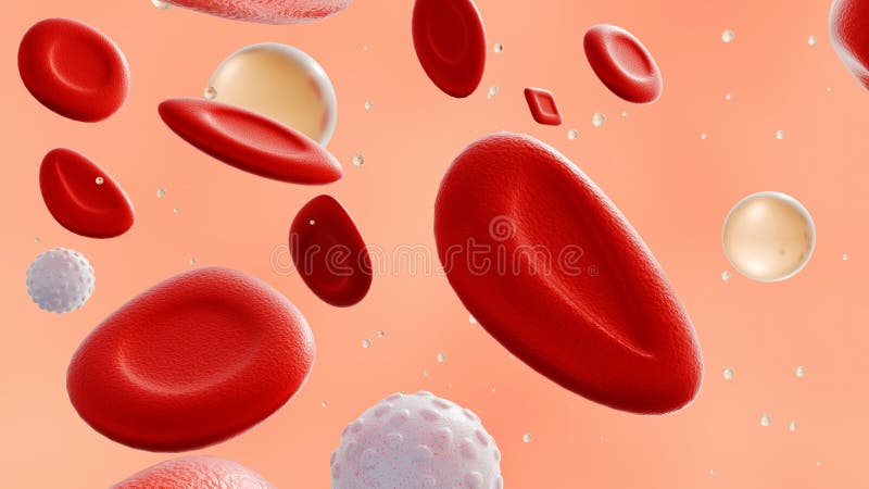 3d Rendering of Red and White Blood Cells Floating in a Liquid Stock ...