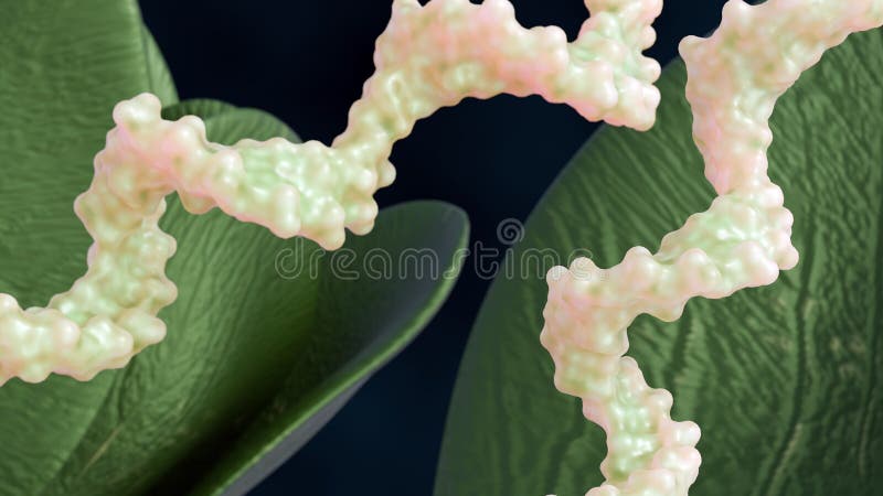 A 3d Rendering of RNA Molecule and Green Leaf. Stock Photo - Image of ...