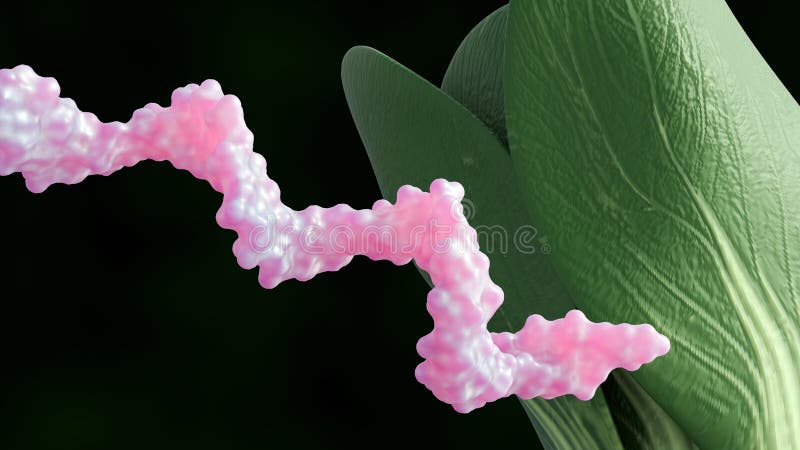 A 3d Rendering of RNA Molecule and Green Leaf. Stock Illustration ...