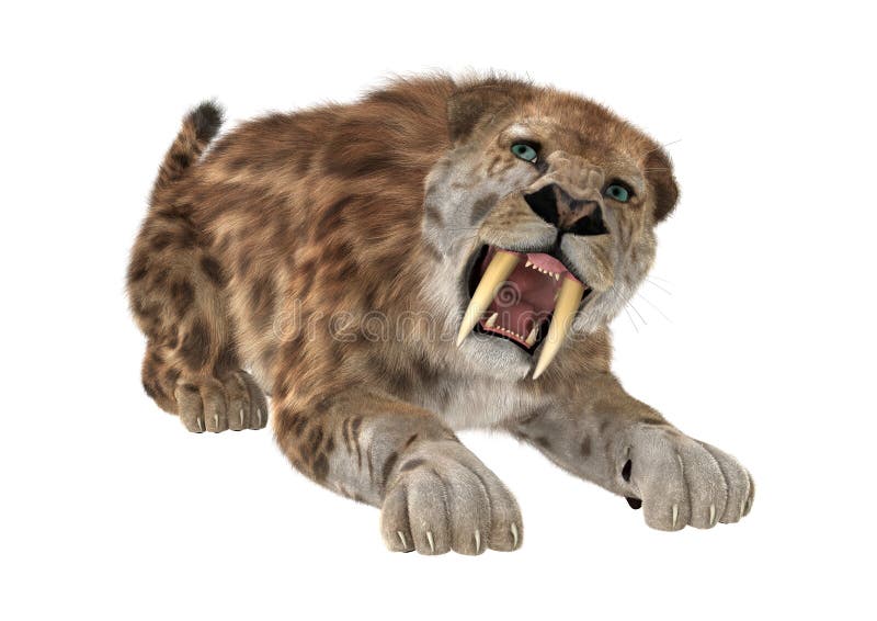 3D Rendering Saber Tooth Tiger on White Stock Photo - Image of jumping ...