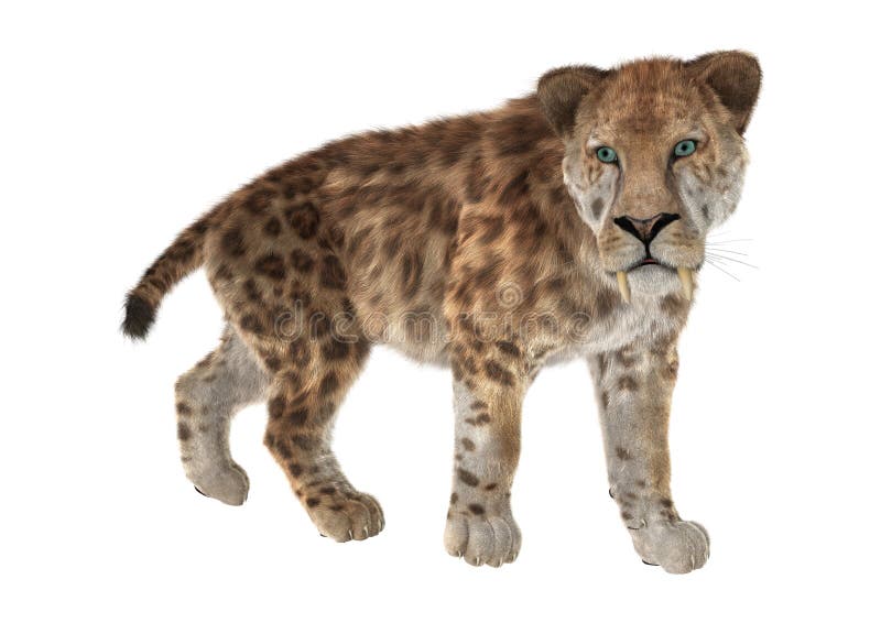 Smilodon Saber Tooth Tiger Stock Illustrations – 392 Smilodon Saber ...
