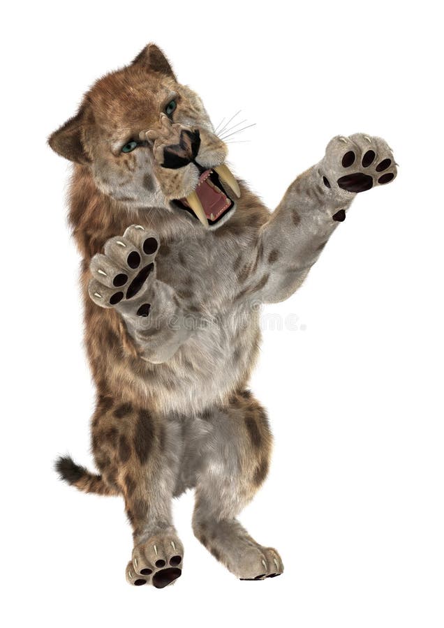 Smilodon Saber Tooth Tiger Stock Photos - Free & Royalty-Free Stock ...