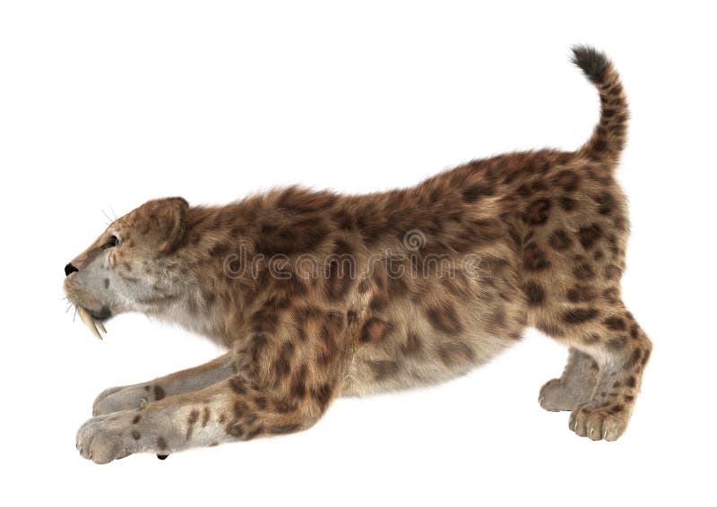 Smilodon Saber Tooth Tiger Stock Illustrations – 392 Smilodon Saber ...