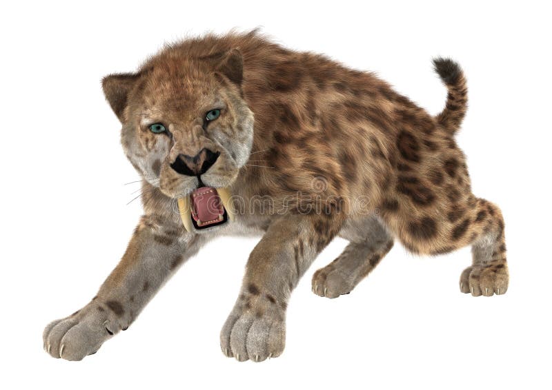 Smilodon Saber Tooth Tiger Stock Illustrations – 392 Smilodon Saber ...