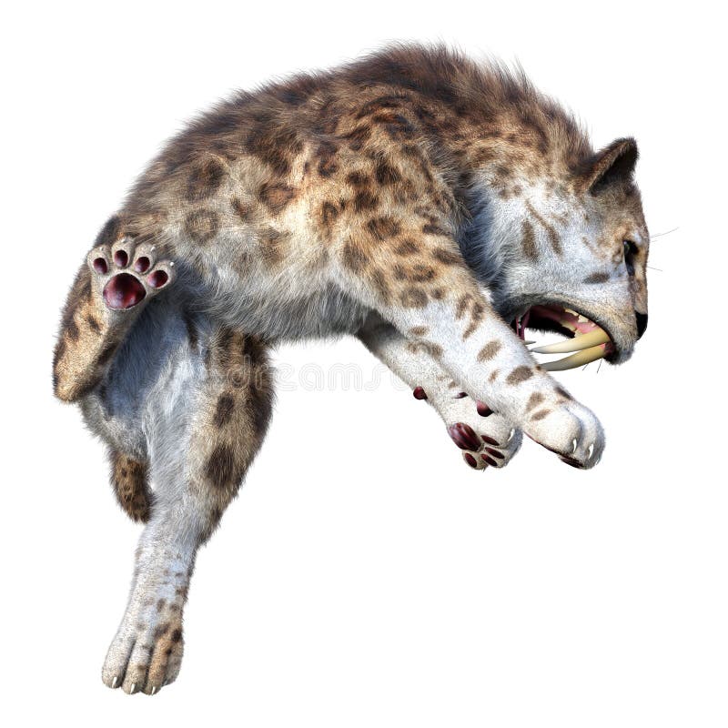 3D Rendering Sabertooth Tiger on White Stock Illustration ...