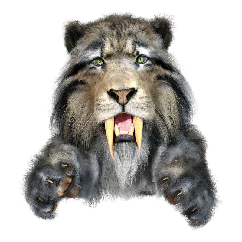 Sabertooth Stock Illustrations – 451 Sabertooth Stock Illustrations ...