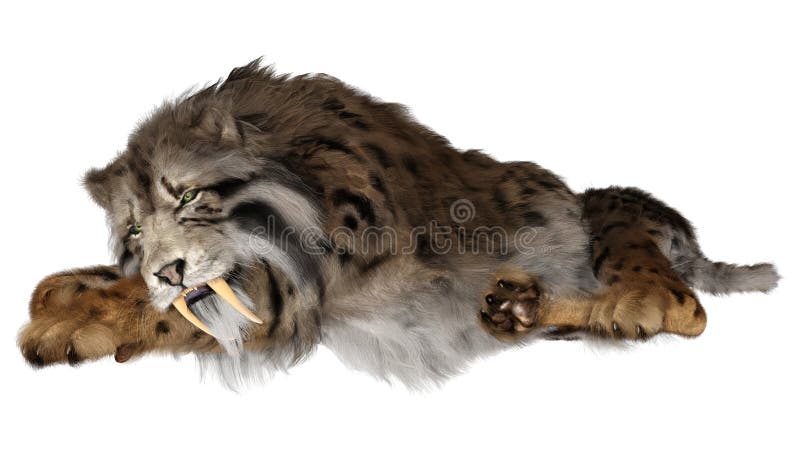 Tiger Laying Stock Illustrations – 97 Tiger Laying Stock Illustrations ...