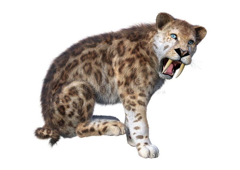 3D Rendering Sabertooth Tiger on White Stock Illustration ...