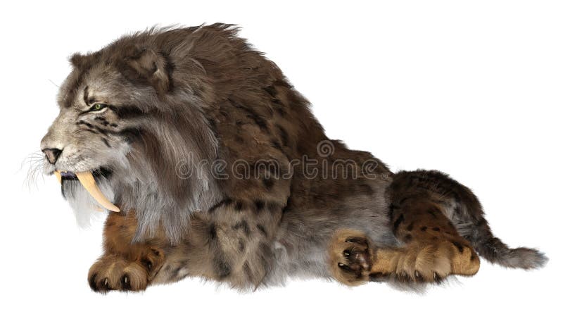 Sabertooth Stock Illustrations – 440 Sabertooth Stock Illustrations ...