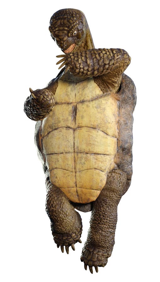 3D Rendering Sea Turtle on White Stock Illustration - Illustration of ...