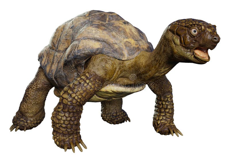 3D Rendering Sea Turtle on White Stock Illustration - Illustration of ...