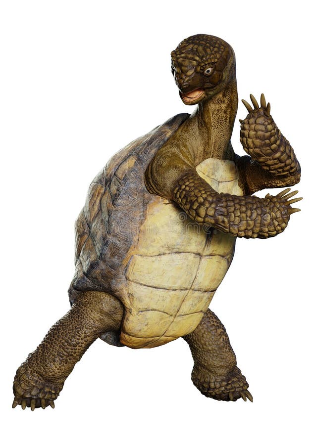 3D Rendering Sea Turtle on White Stock Illustration - Illustration of ...