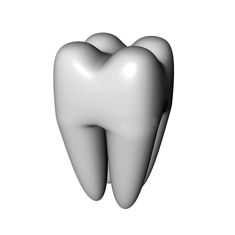 3d Rendering of a Single Tooth Isolated on a White Background Stock ...