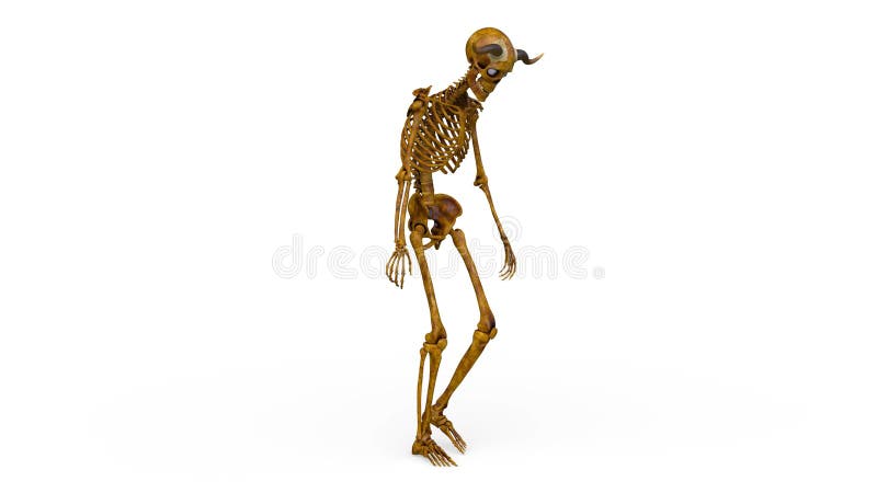3D Rendering of a Skeleton Walking Face Down Stock Footage - Video of ...