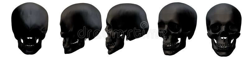 3d rendering of skull stock illustration. Illustration of model - 121540211