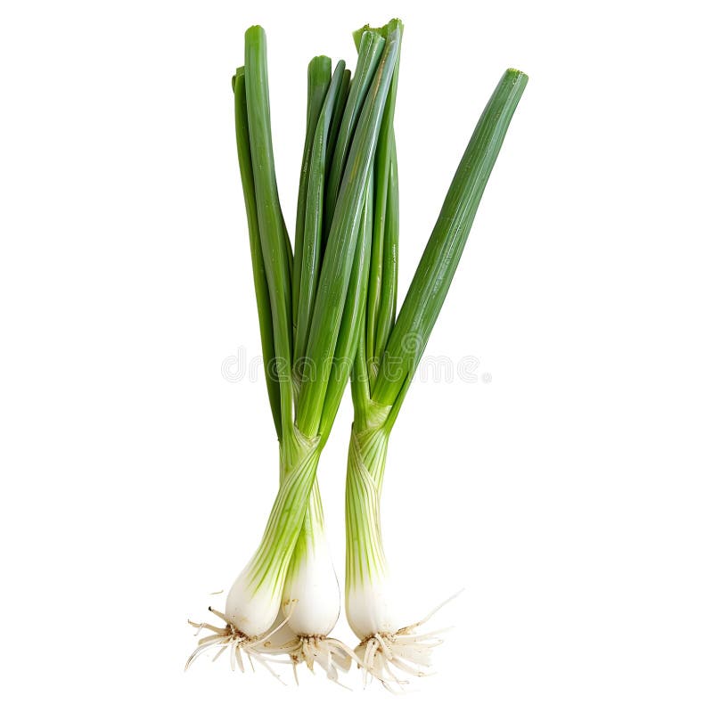 3D Rendering of a Spring Onion on Transparent Background - Ai Generated ...