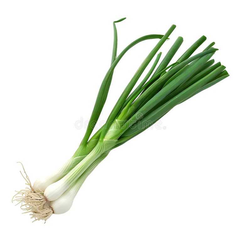 3D Rendering of a Spring Onion on Transparent Background - Ai Generated ...