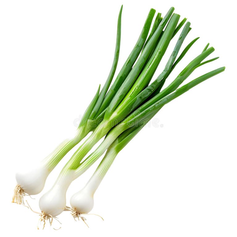 3D Rendering of a Spring Onion on Transparent Background - Ai Generated ...