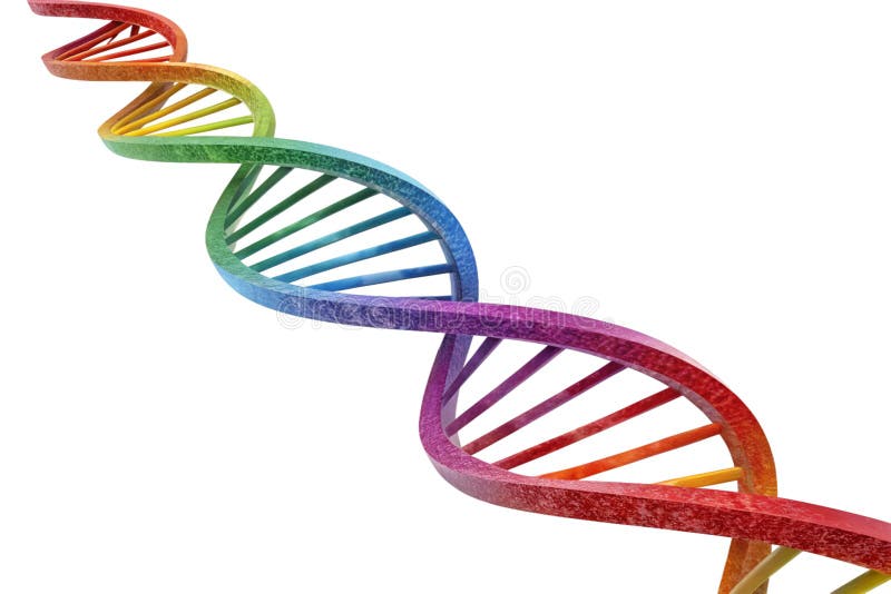 A 3d Rendering of Stylized Dna Double Helix Rainbow Color Gradient ...