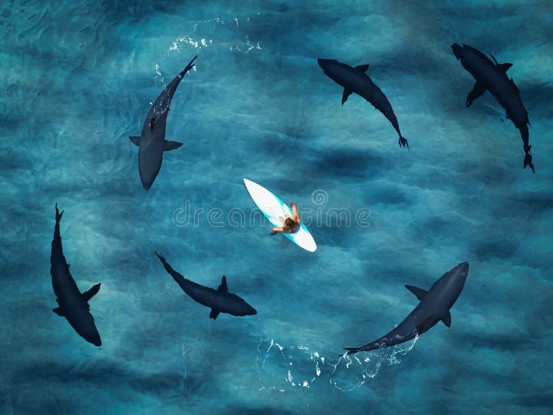 Shark Top View Stock Illustrations – 289 Shark Top View Stock ...
