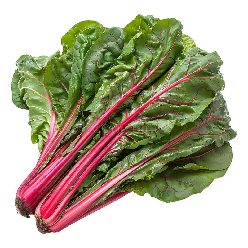 3D Rendering of a Switzerland Chard Common Beet on Transparent ...