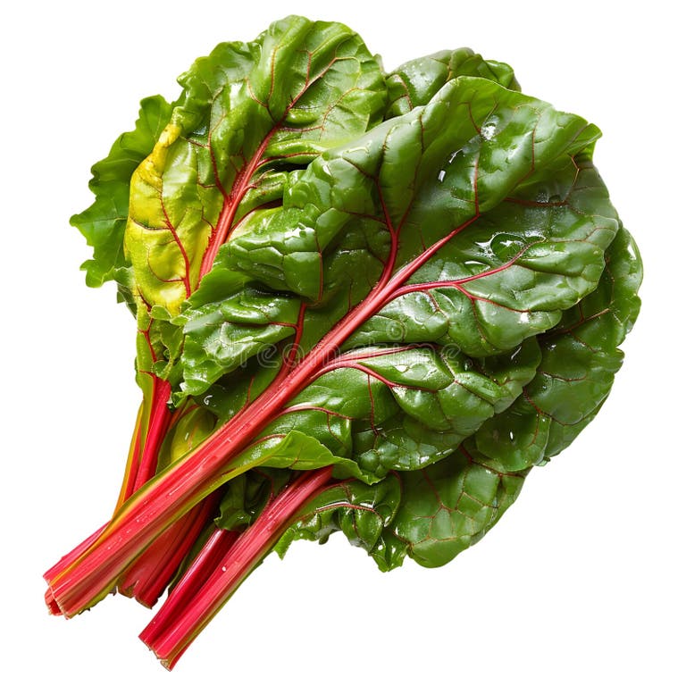 3D Rendering of a Switzerland Chard Common Beet on Transparent ...