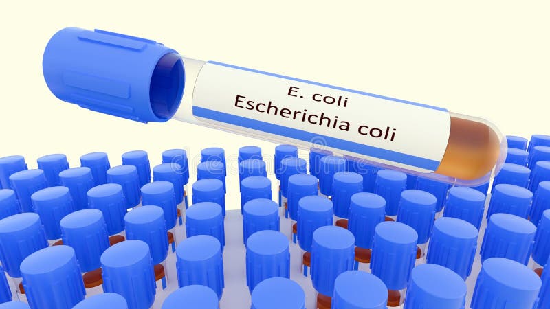 3d Rendering of Test Tubes Labeled with "E. Coli" and "Escherichia Coli ...