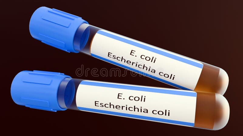3d Rendering of Test Tubes Labeled with "E. Coli" and "Escherichia Coli ...