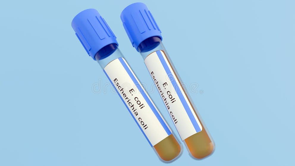 3d Rendering of Test Tubes Labeled with "E. Coli" and "Escherichia Coli ...