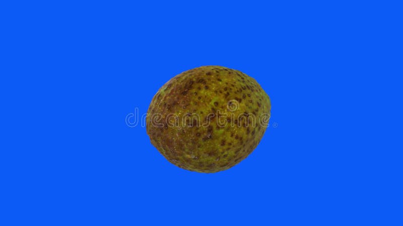 3D Rendering of a Textured Green Fruit Rotating Against a Blue ...