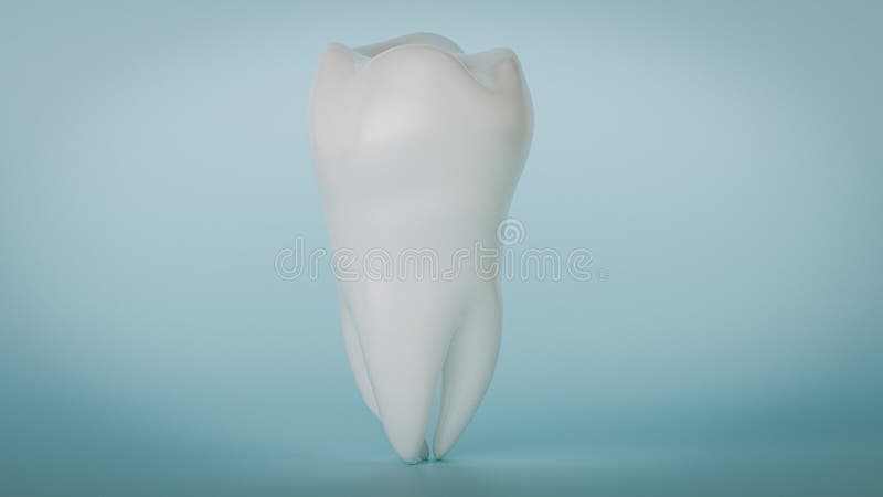 3D Rendering of a Tooth stock illustration. Illustration of isolated ...