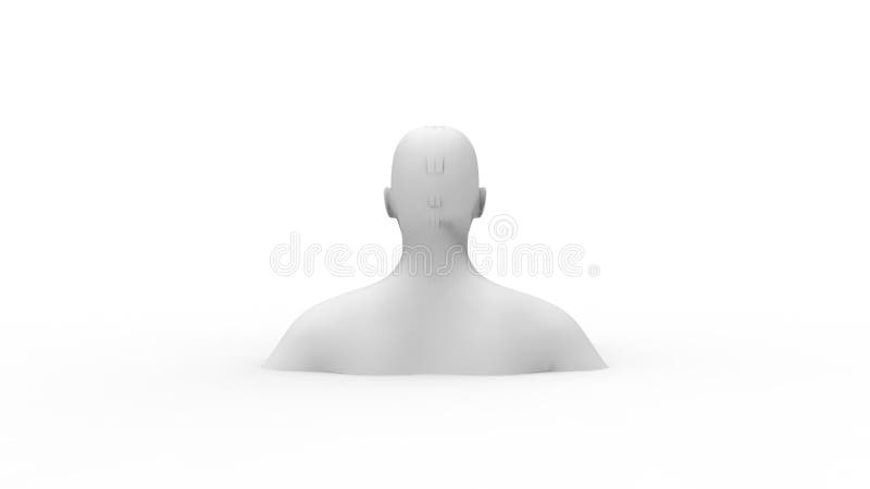 3d Rendering of a Human Model Isolated in White Background Stock ...