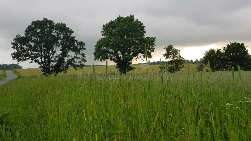 3d Rendering of Transition Effect Isolated for Motion Stock Footage ...