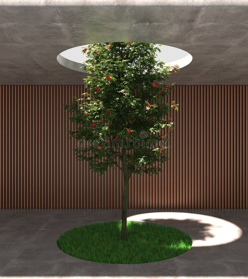 3d Rendering of a Tree Running through a Circular Hole in the Ceiling ...