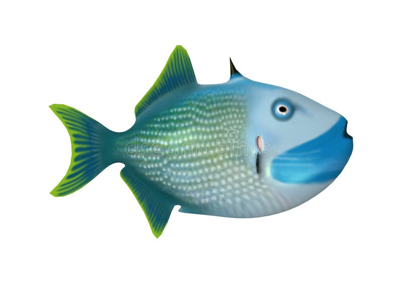 Exotic Triggerfish Stock Illustrations – 242 Exotic Triggerfish Stock ...