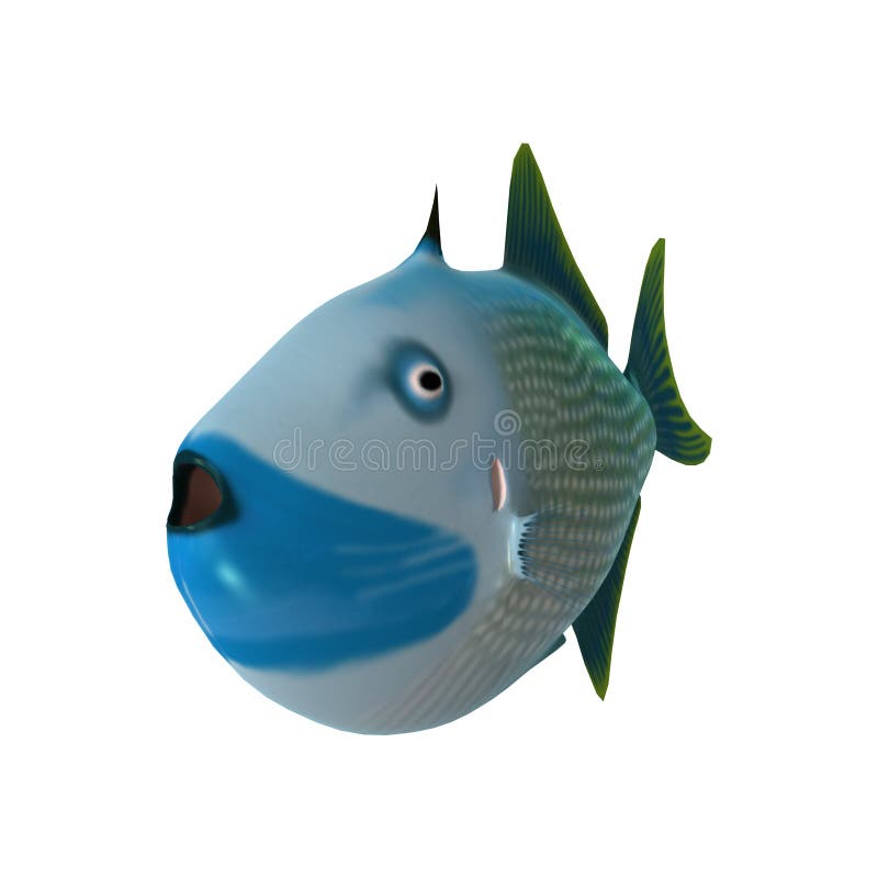 Triggerfish Stock Illustrations – 586 Triggerfish Stock Illustrations ...