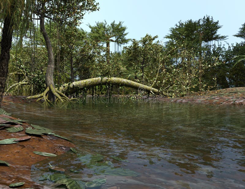 3D Rendering Tropical Rainforest Stock Photo - Image of mangrove, tree ...